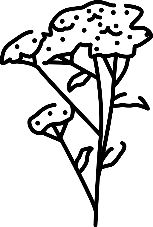 CLEAR FLUX™ - Super Boost Nutra